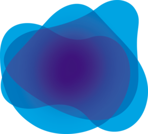 Teesom - #1 Screen Print Shop Management Software